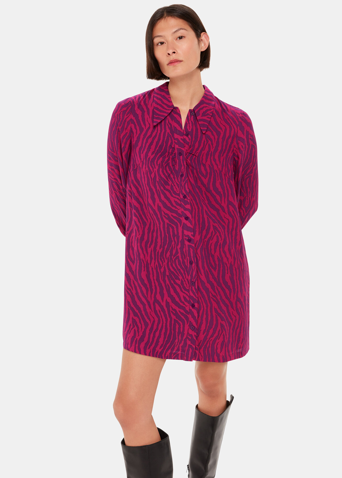 Purple/Multi Zebra Stripe Collar Dress | WHISTLES | Whistles UK