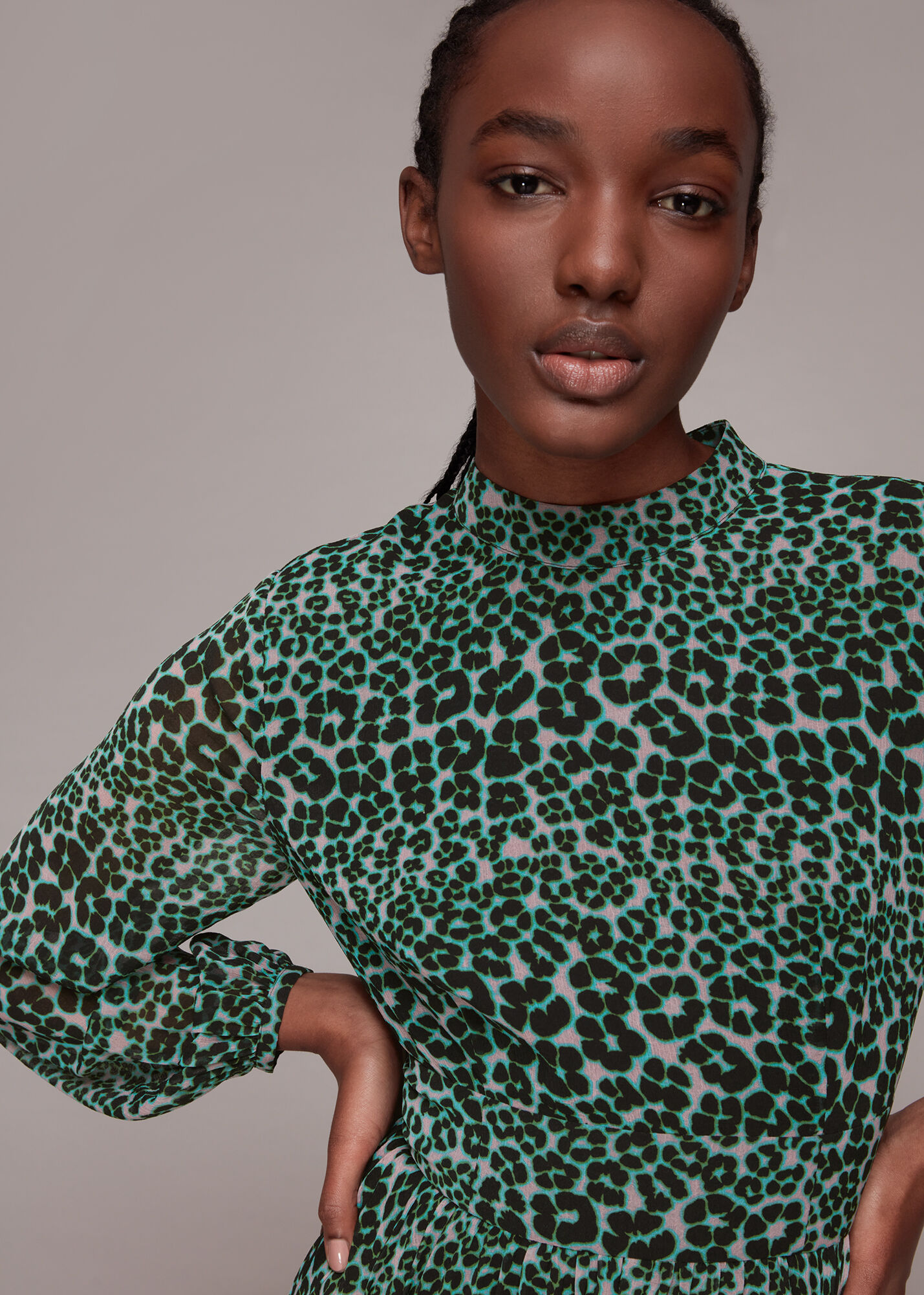 Multicolour Petal Animal Pleated Dress | WHISTLES | Whistles UK