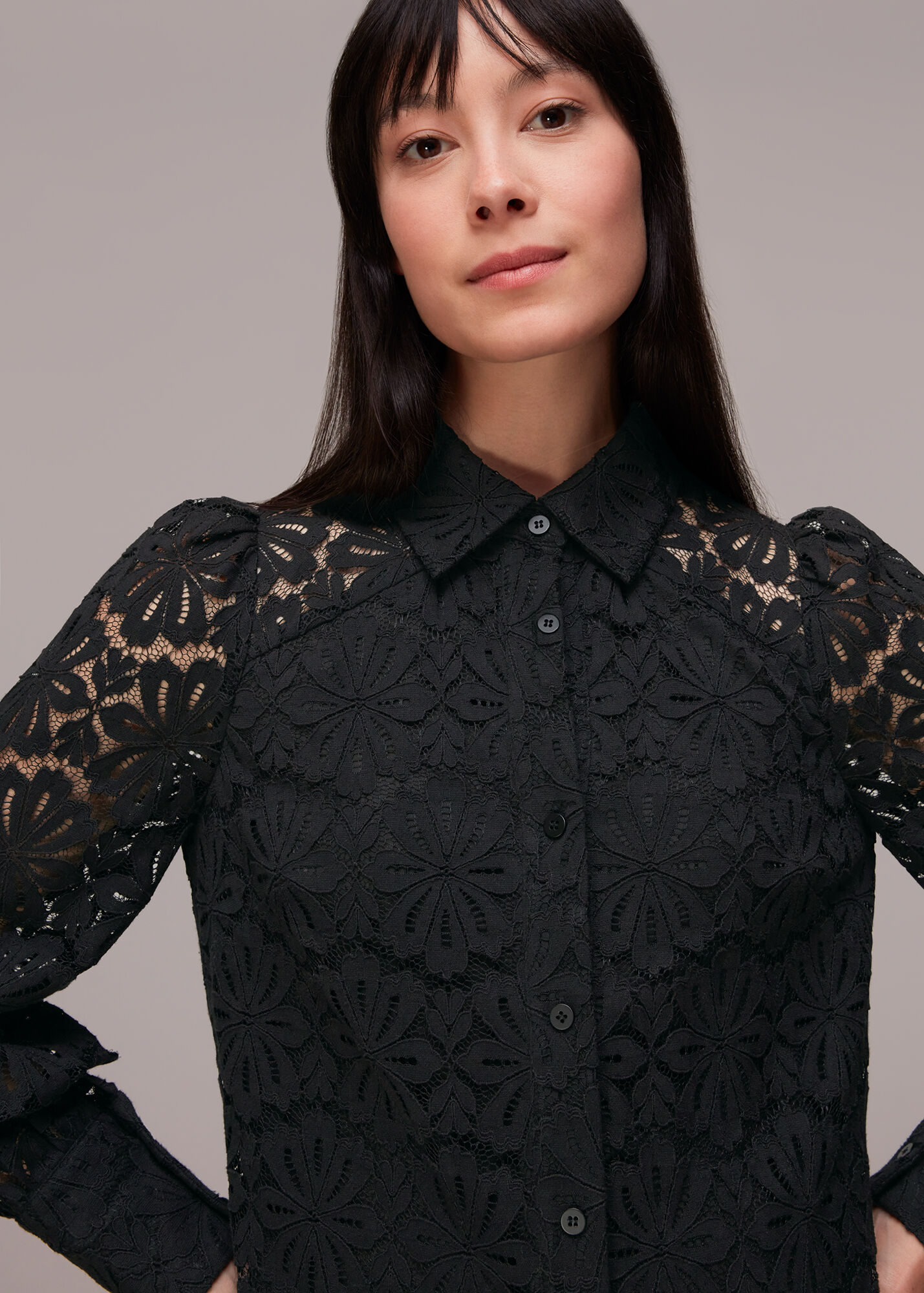 Black Lace Shirt Dress | WHISTLES | Whistles UK