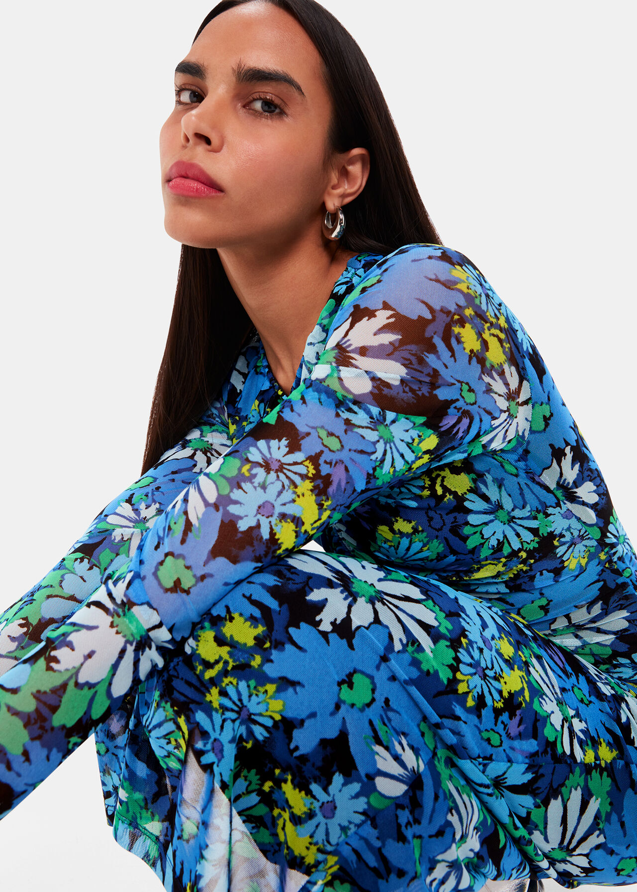 Blue/Multi Retro Floral Mesh Dress | WHISTLES