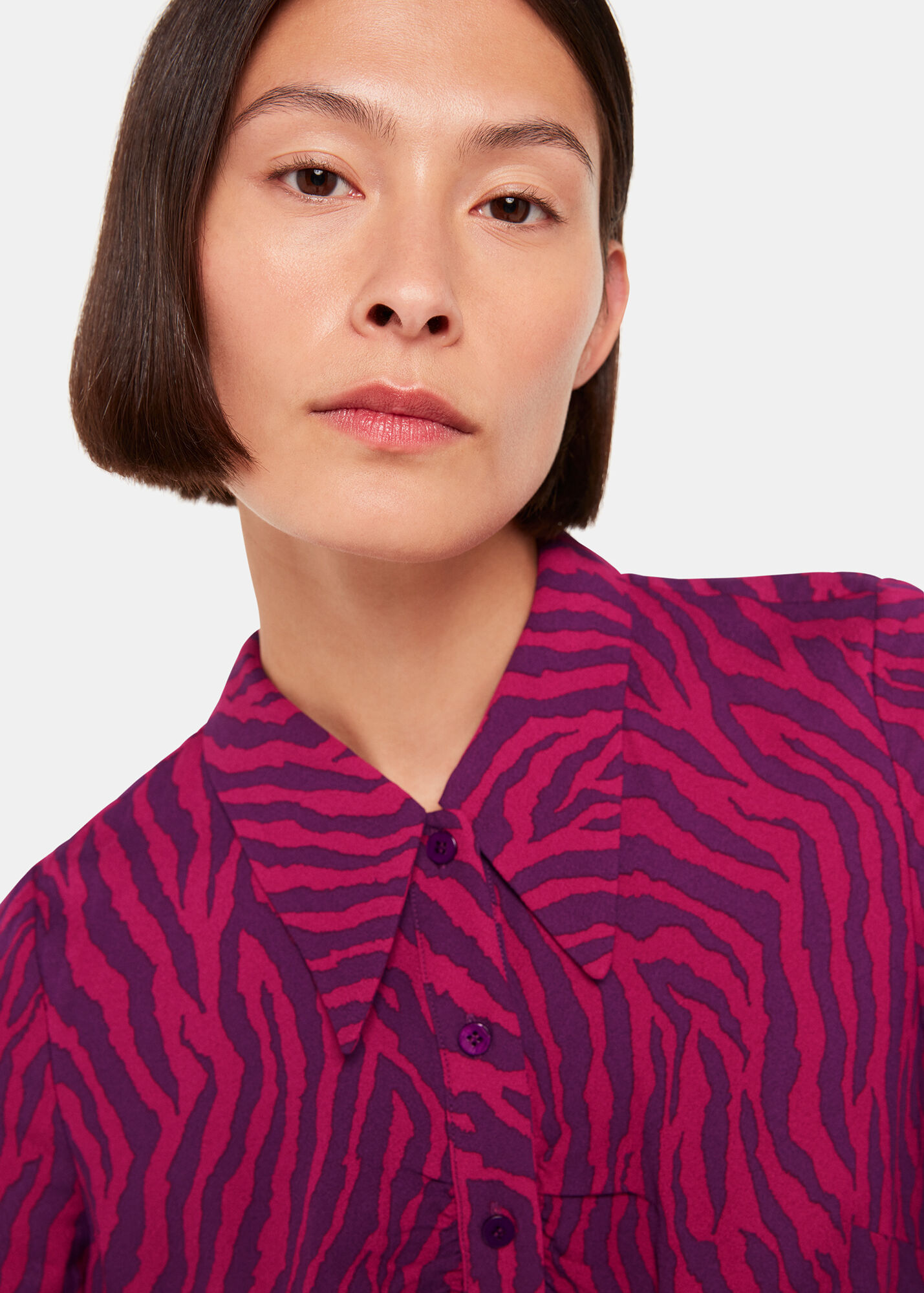Purple/Multi Zebra Stripe Collar Dress | WHISTLES | Whistles UK