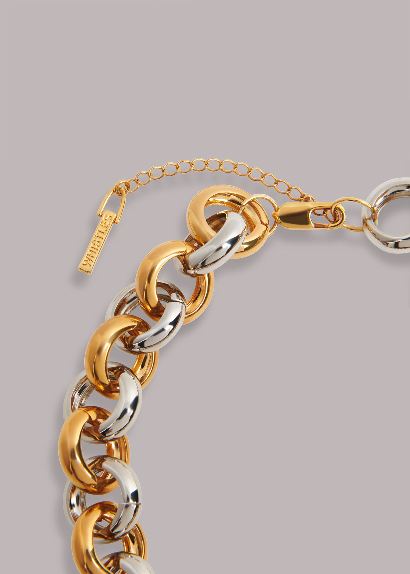 Gold/Multi Mixed Metal Chunky Chain | WHISTLES