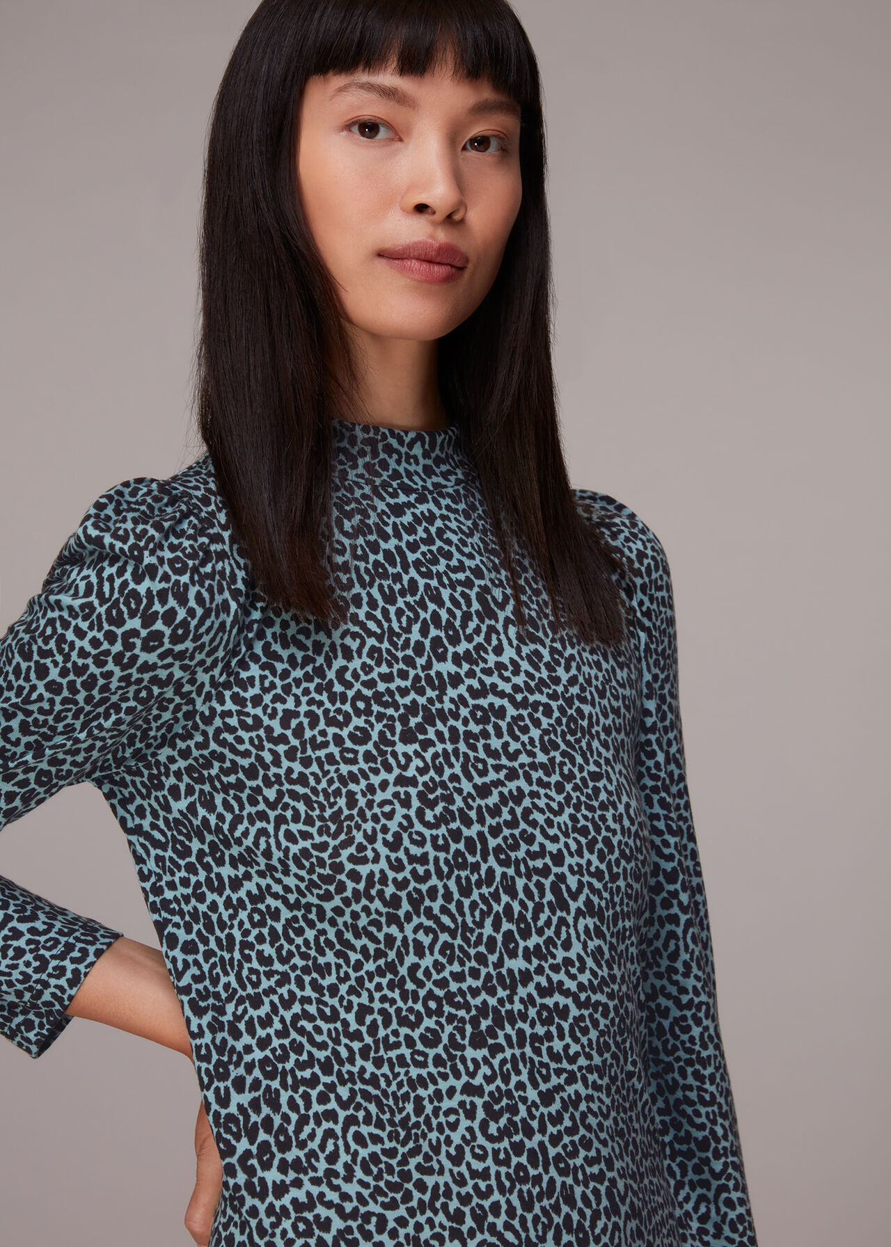 Blue/Multi Contrast Leopard Jersey Dress | WHISTLES | Whistles US